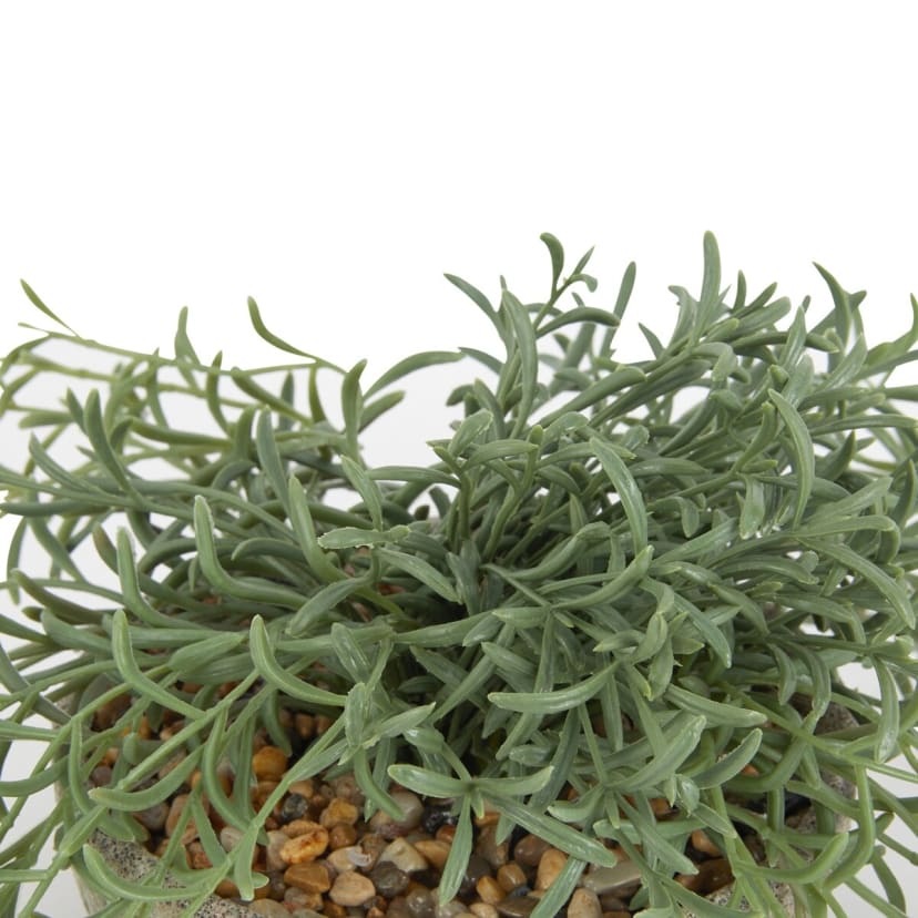 Artificial Tabletop Plant - Kmart