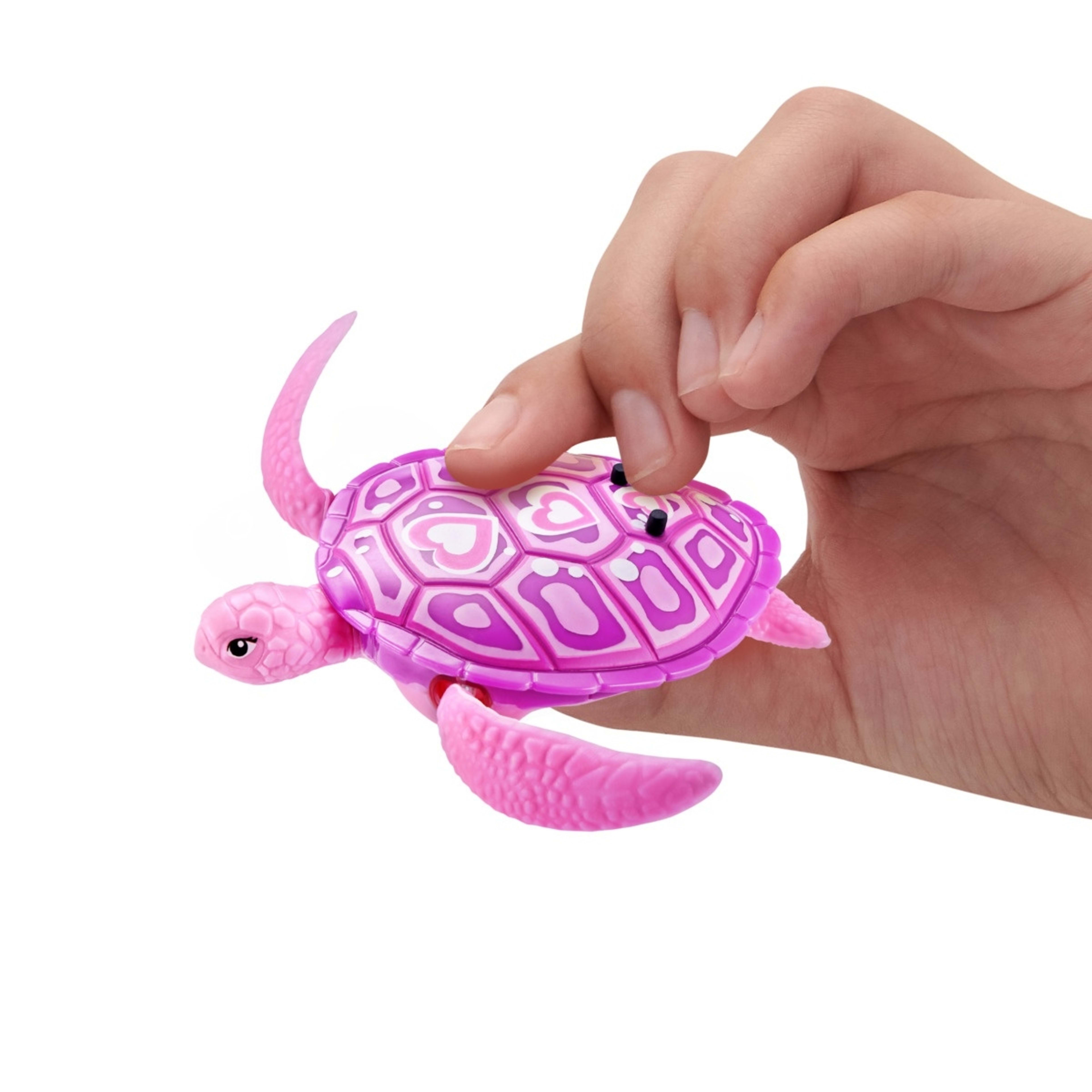 Zuru Robo Alive Water Activated Turtle - Assorted - Kmart