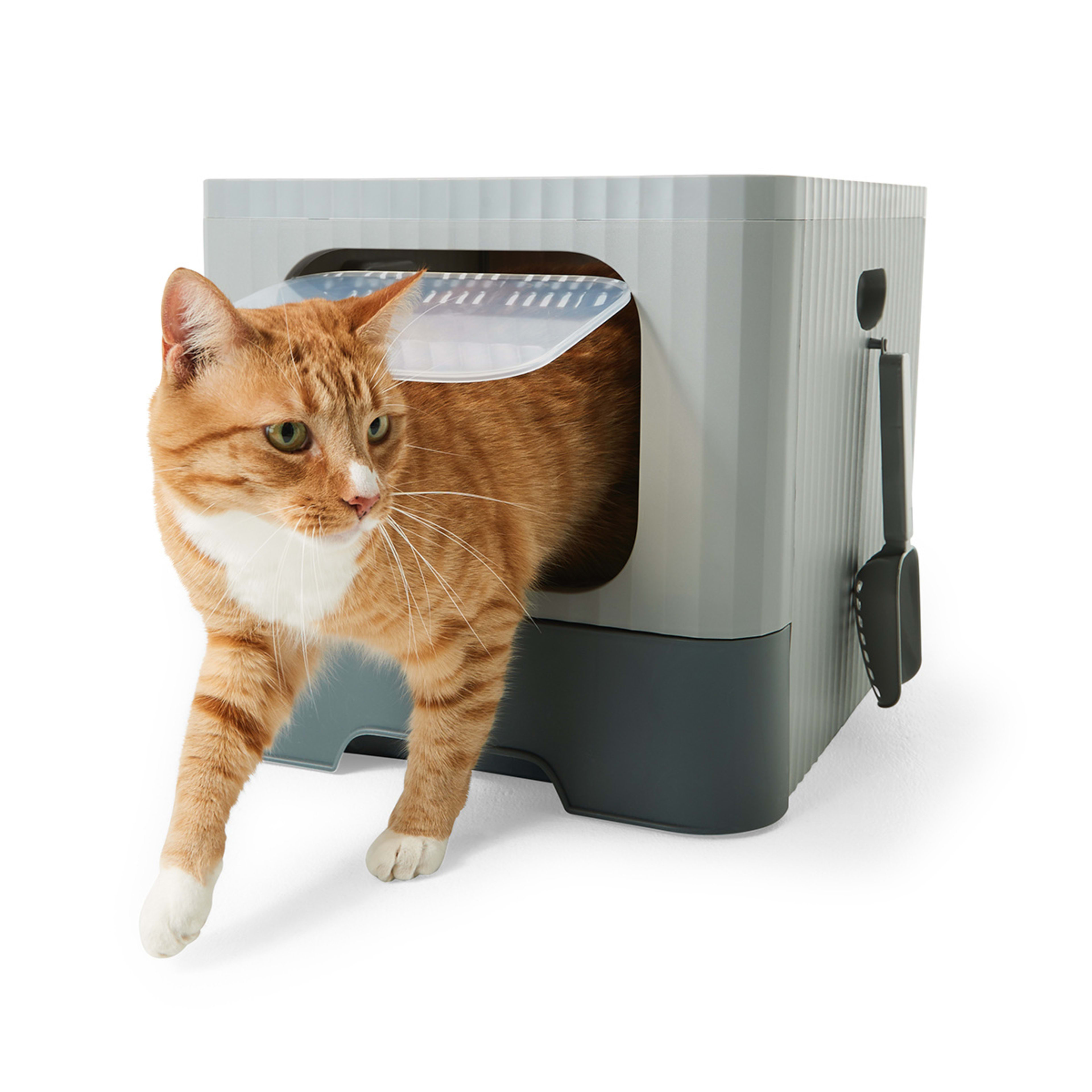 Cat Litter Box Dual Entry - Kmart