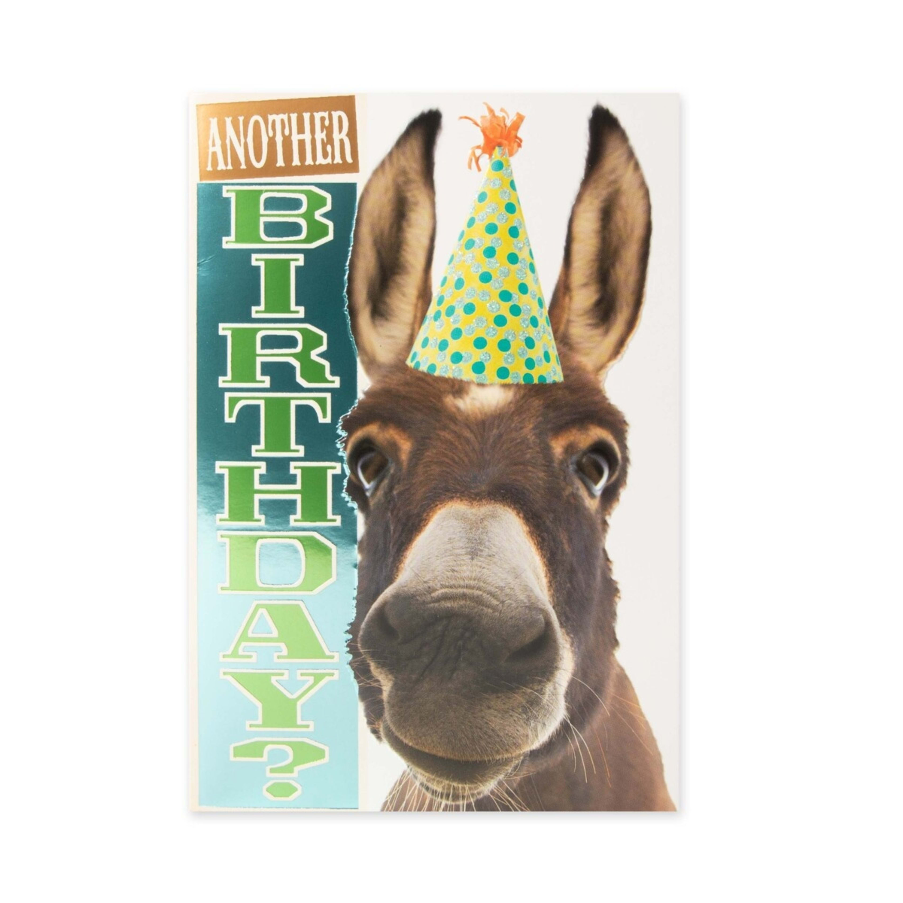 Connections from Hallmark Birthday Card - Party Donkey - Kmart