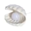 Clam Shell Lamp - Kmart