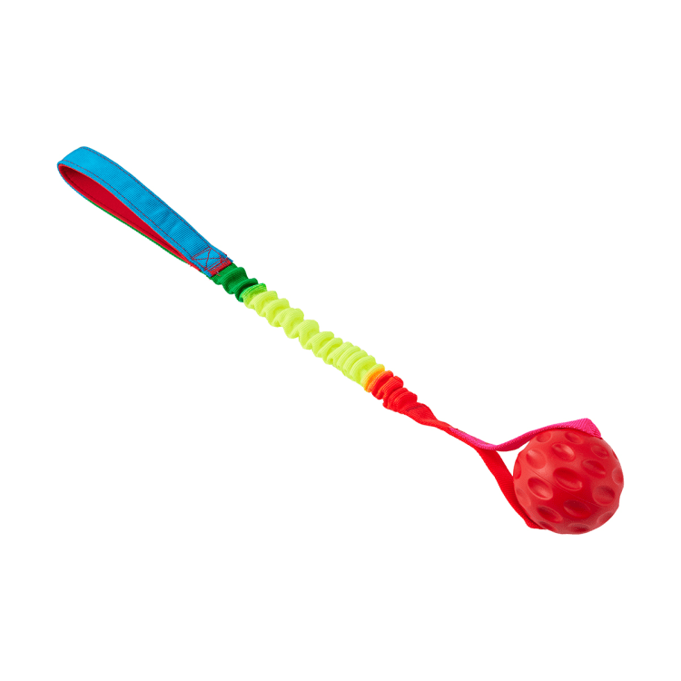 Pet Toy Bungee Ball with Handle - Kmart