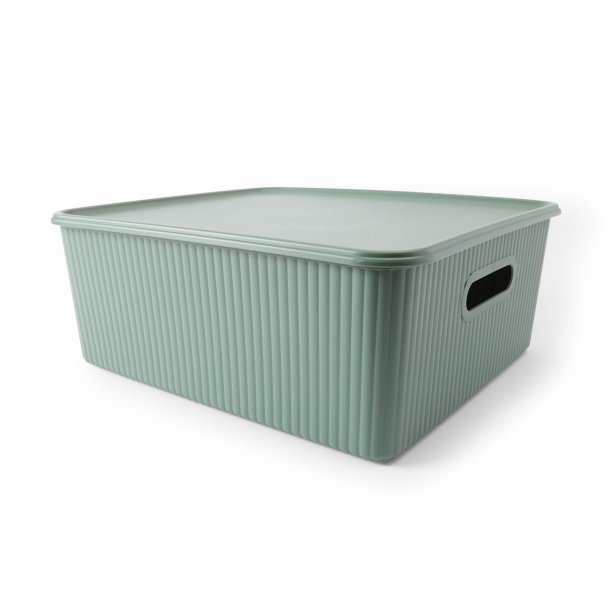 19L Ribbed Container - Green - Kmart