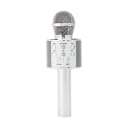 Bluetooth Karaoke Microphone with Speaker - Silver - Kmart