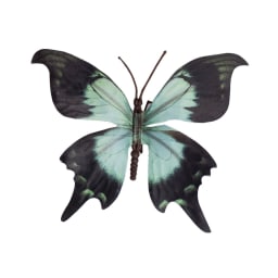 8 Pack Artificial Butterflies - Kmart