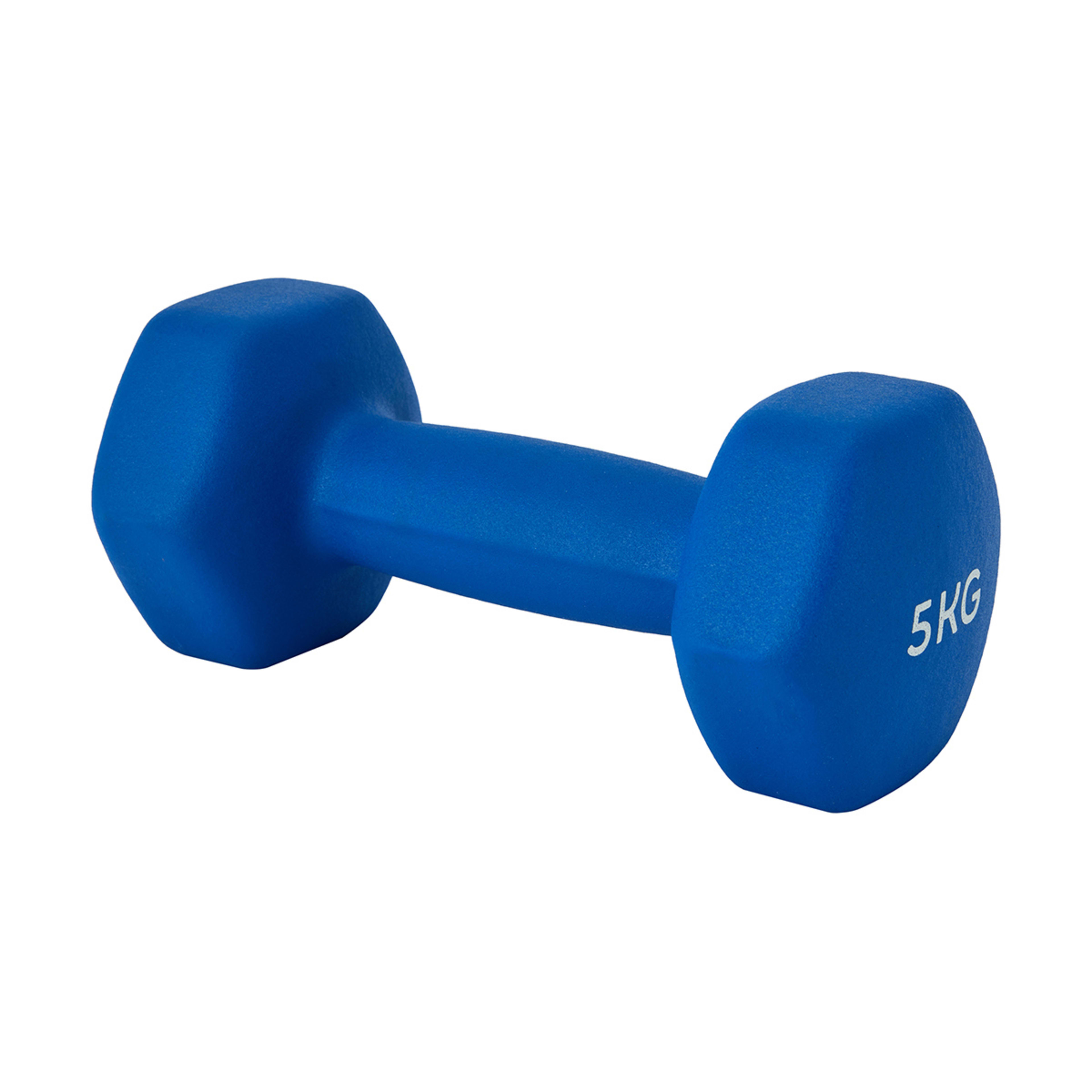 5kg Dumbbell - Kmart