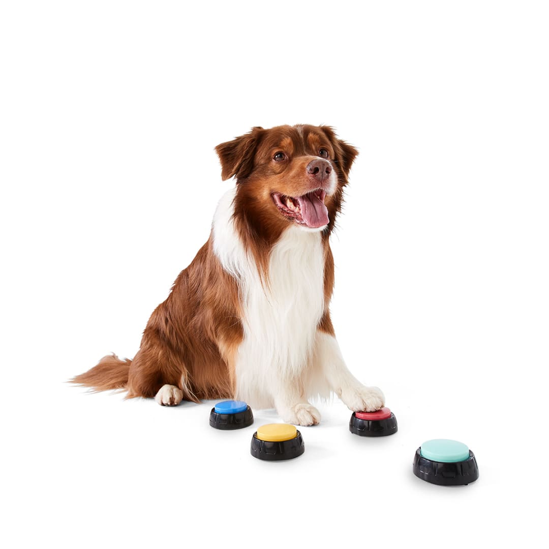 Pet Talking Buttons - Kmart