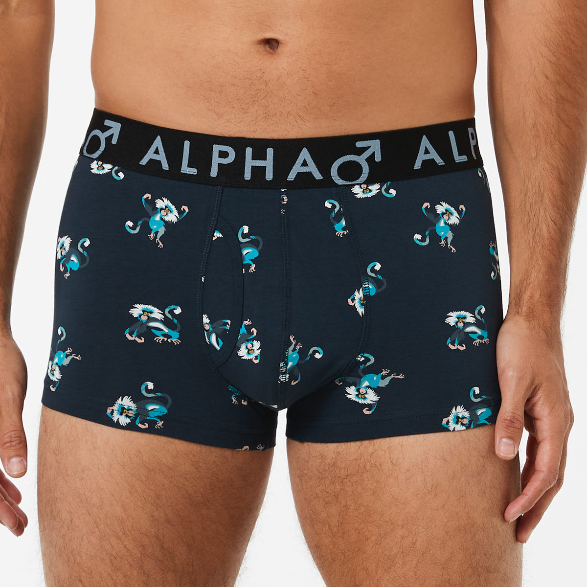 3 Pack Fly Front Print Trunks - Kmart
