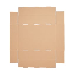 2 Pack Large Rectangle Grazing Boxes with Lids - Kmart