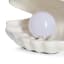 Clam Shell Lamp - Kmart