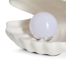 Clam Shell Lamp - Kmart