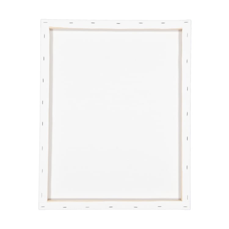 16in. x 20in. Stretch Canvas - Kmart