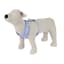 Pet Knit Harness - Small, Blue - Kmart