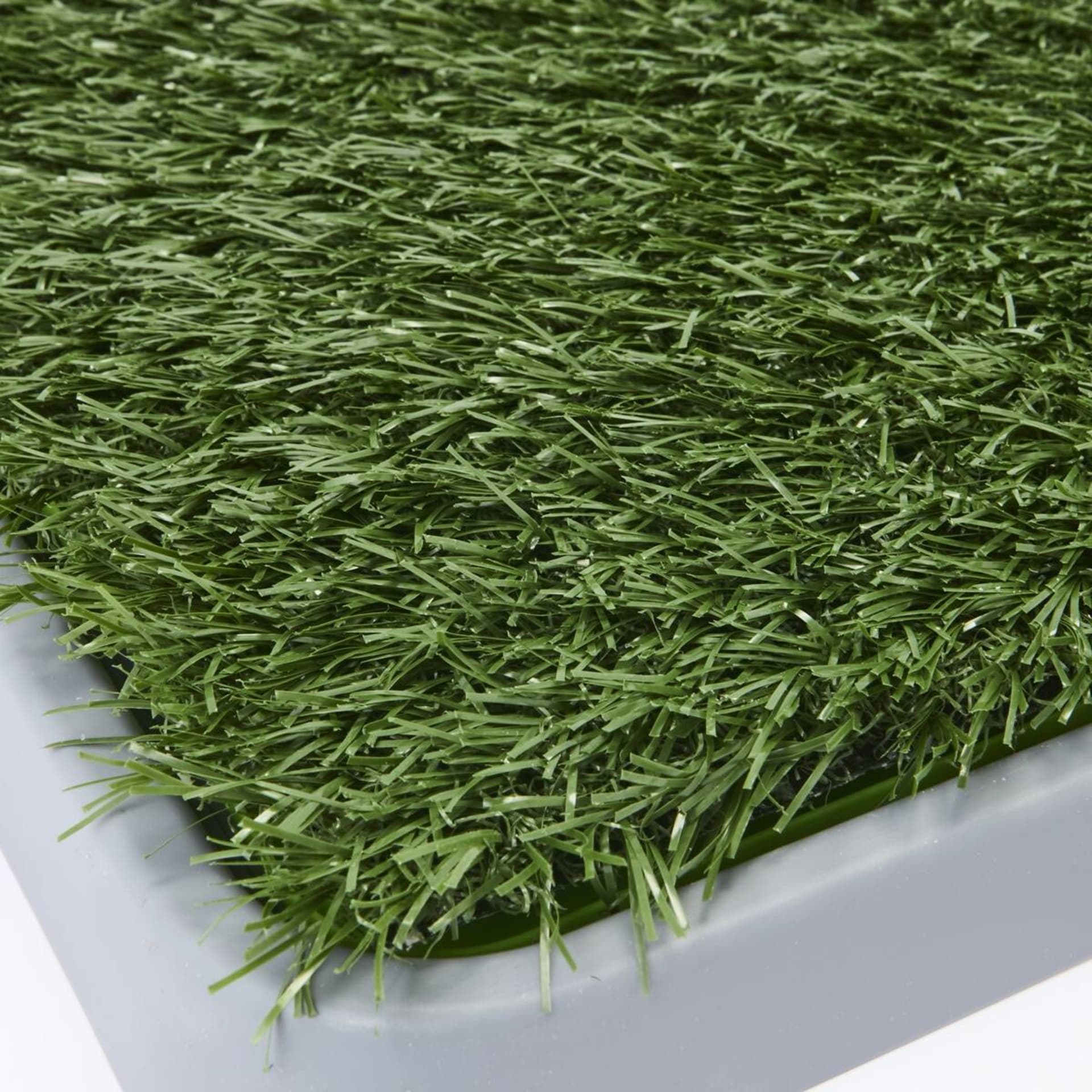 Pet Potty Mat - Kmart