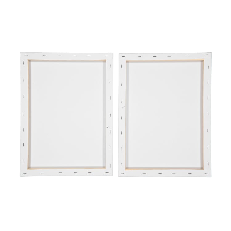 12in. x 16in. Stretch Canvas - 2 Pack - Kmart