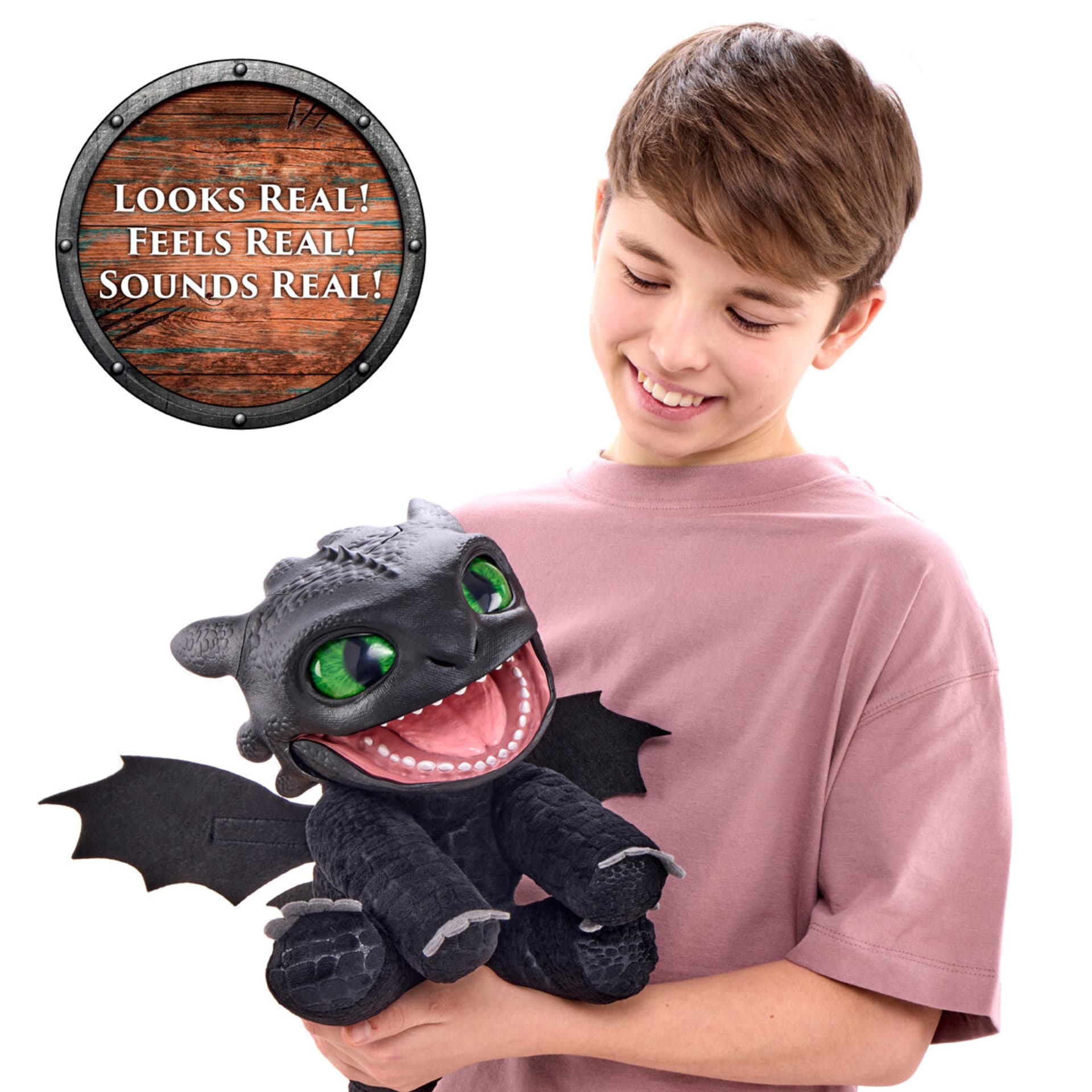 DreamWorks How To Train Your Dragon: RealFX Toothless Interactive Toy ...