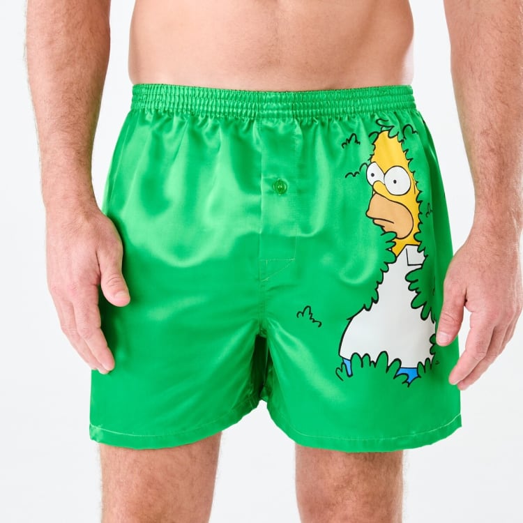 Simpsons License Boxers - Kmart