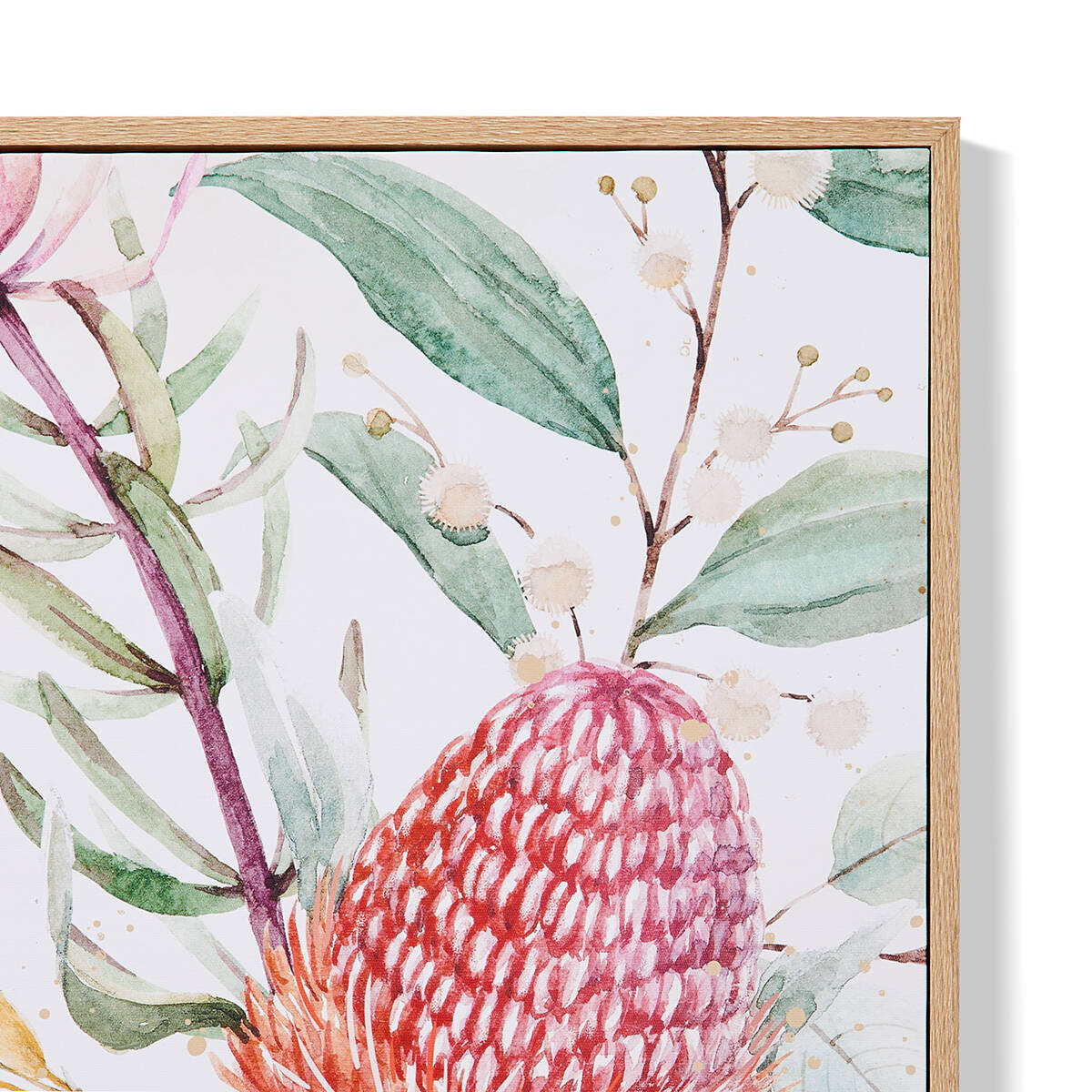 2 Pack Natives Framed Canvas - Kmart