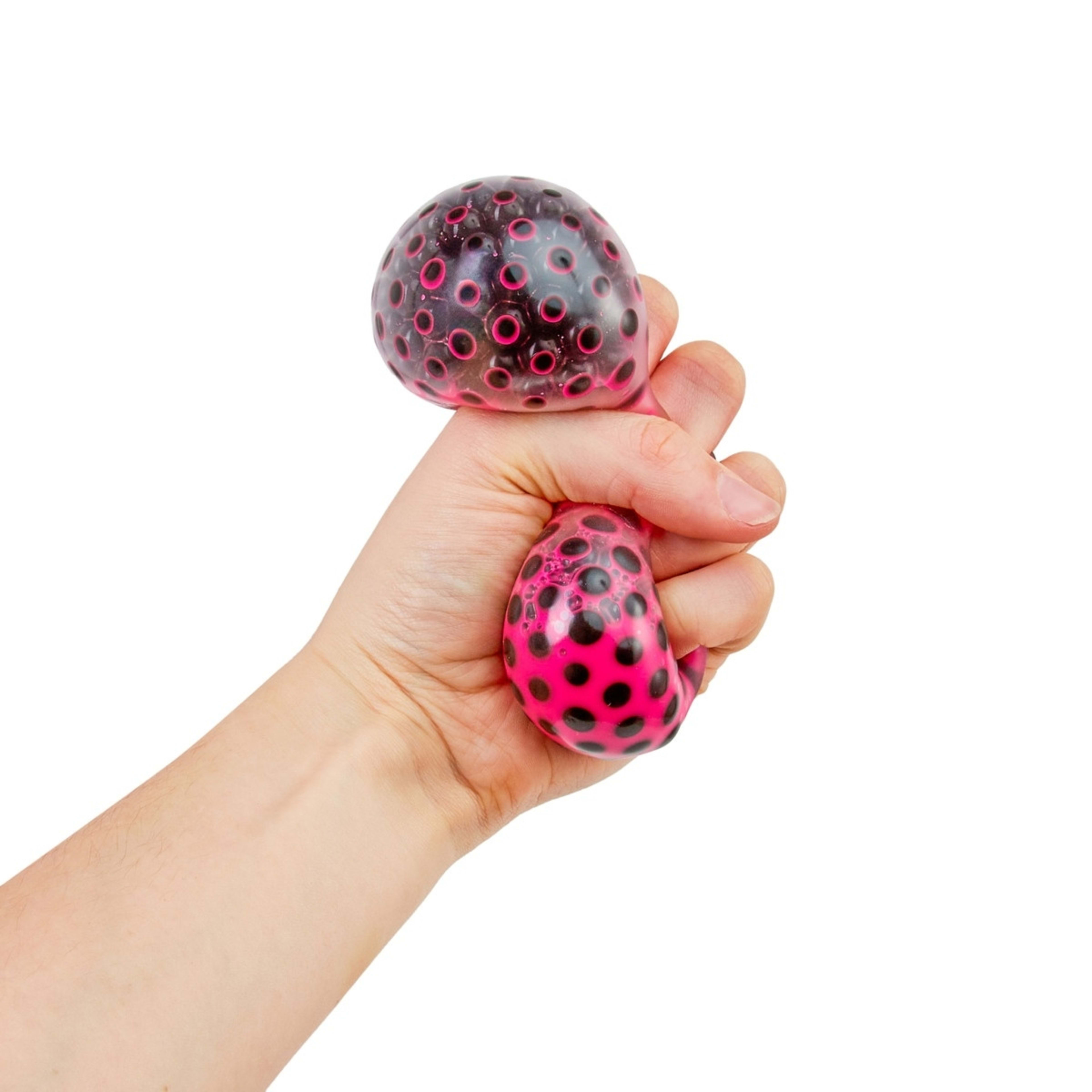 ToyMania The Sensory Toy Box - Assorted - Kmart