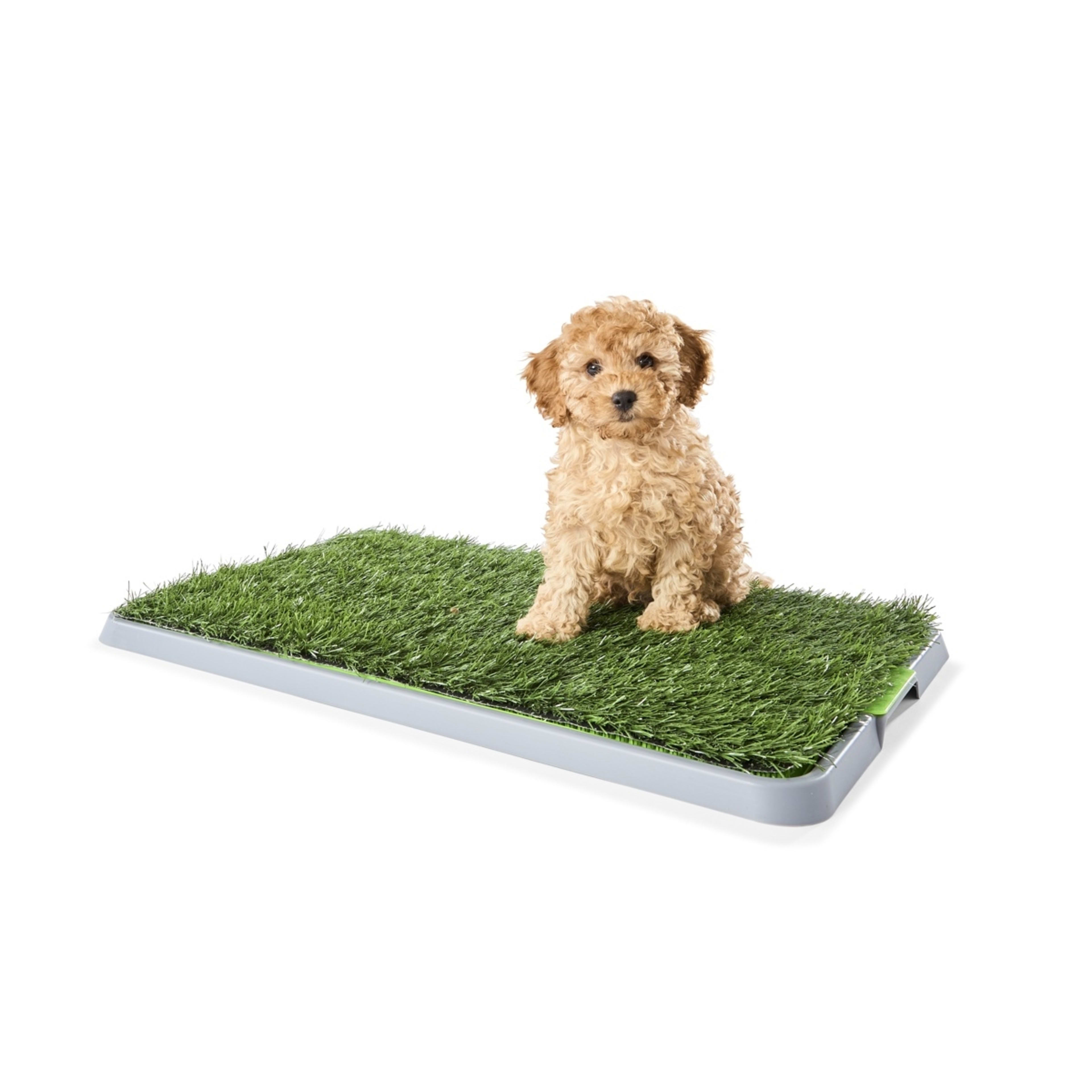 Pet Potty Mat - Kmart