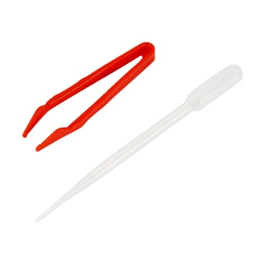 Ant Farm Discovery - Kmart