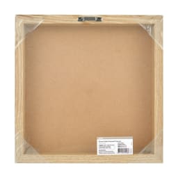 Green Palm Framed Canvas - Kmart