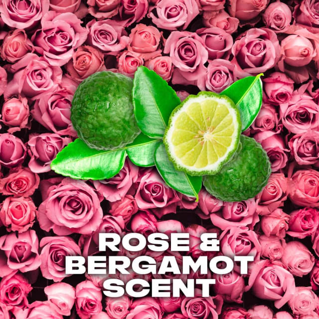 LYNX Anarchy For Her Deodorant Bodyspray - Rose and Bergamot Scented ...