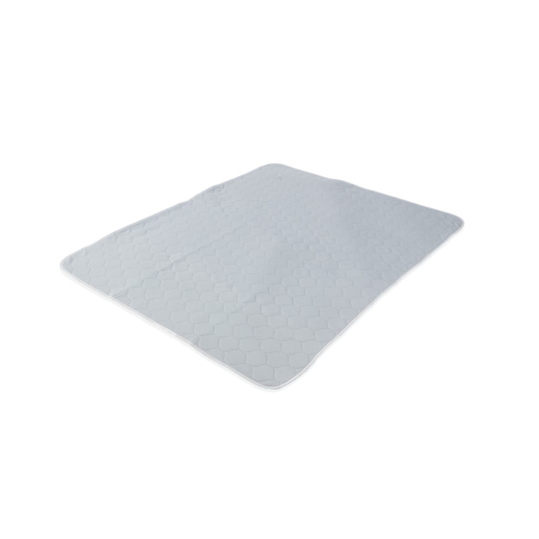 Puppy Pad Reusable 2 Pack - Kmart