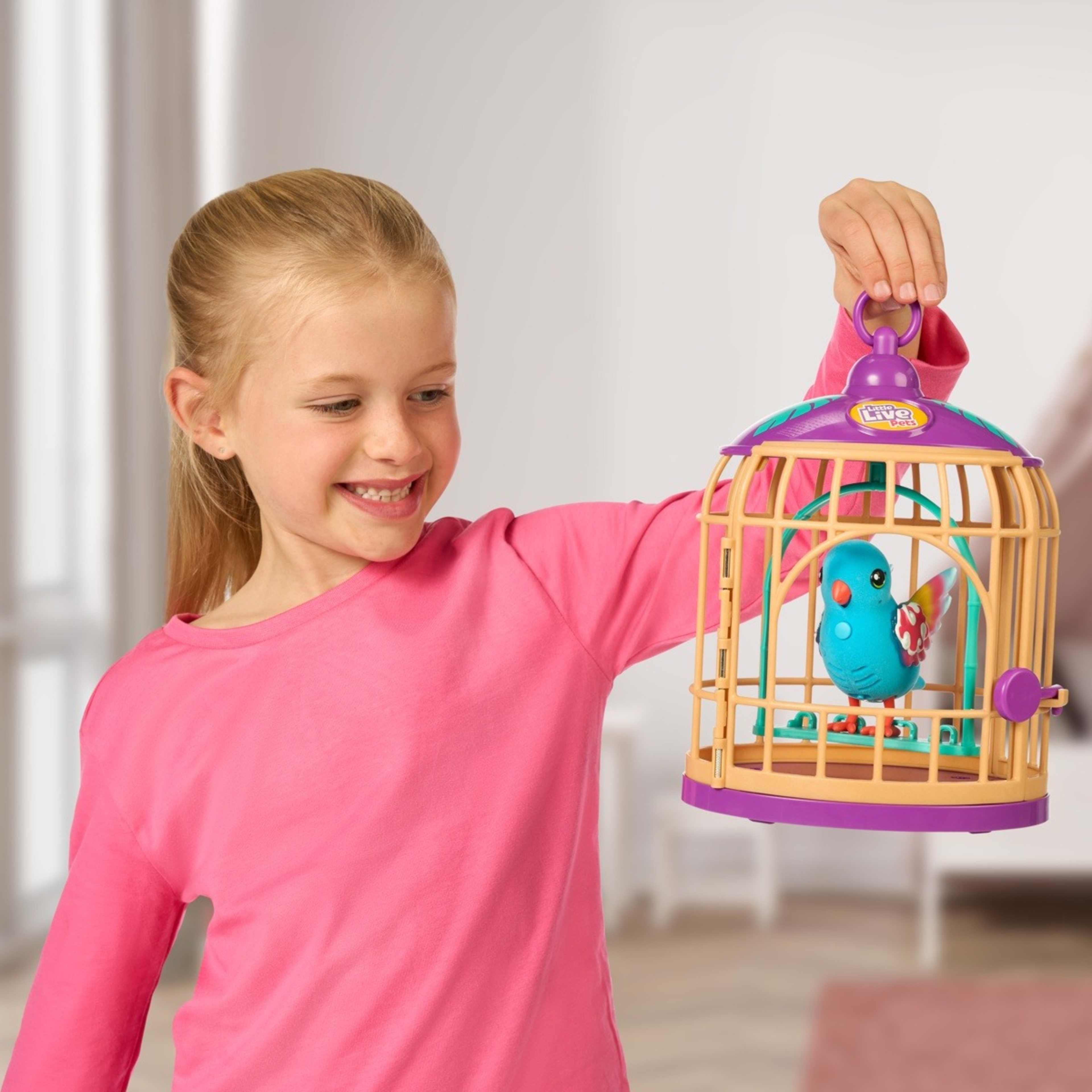 Little Live Pets Lil' Bird & Cage - Jungle Series Pango - Kmart