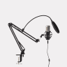 Professional Gaming Microphone - Kmart