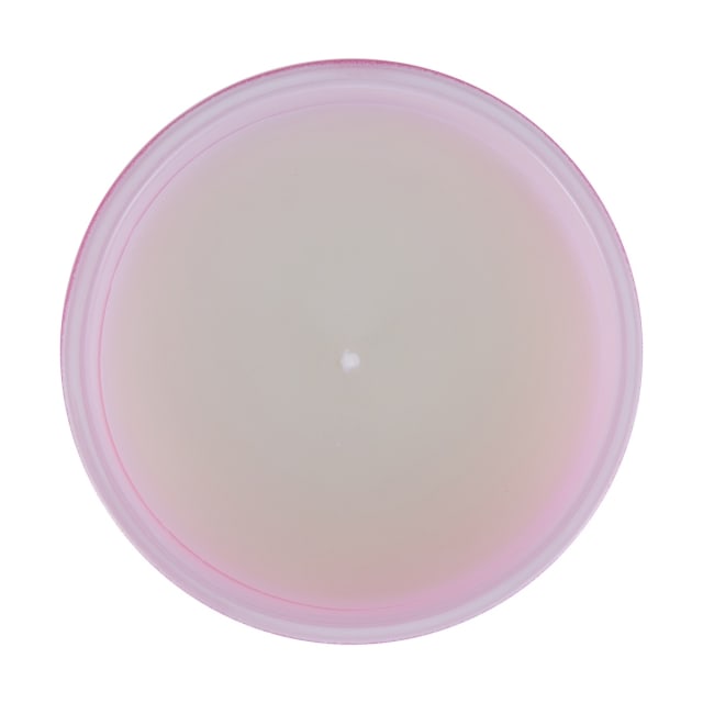 Pink Tropic Summer Solstice Soy Blend Fragrant Candle - Kmart